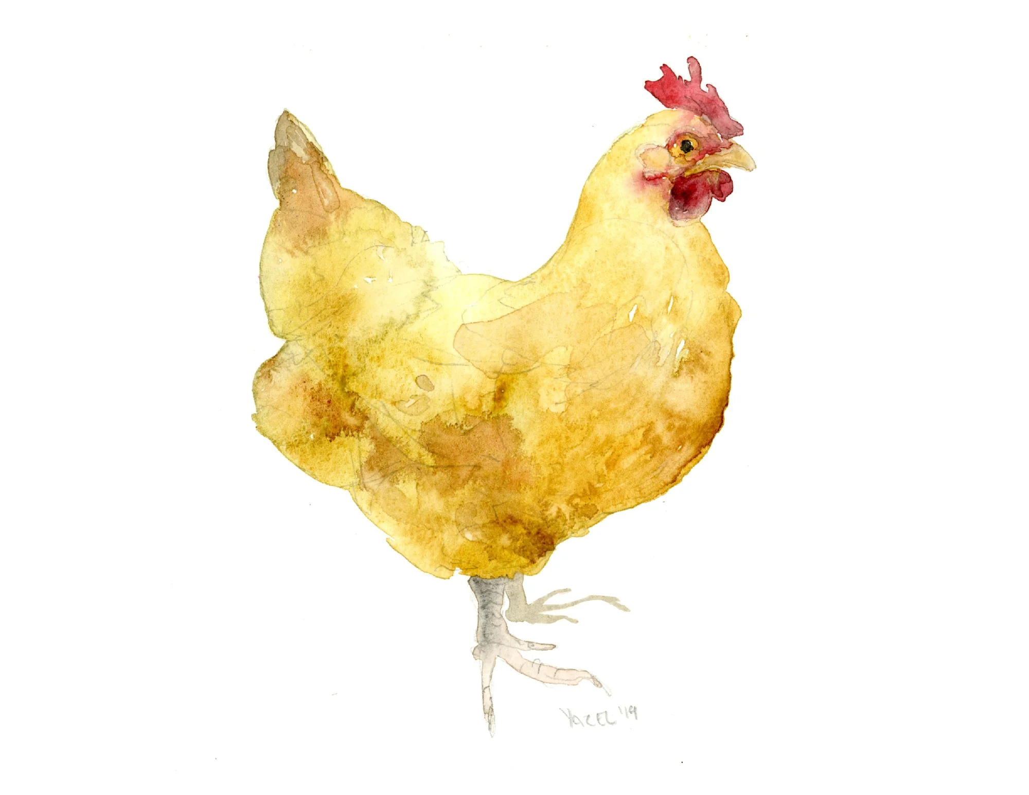 Chickens and more scenes from the farm- Watercolor illustrations ...
