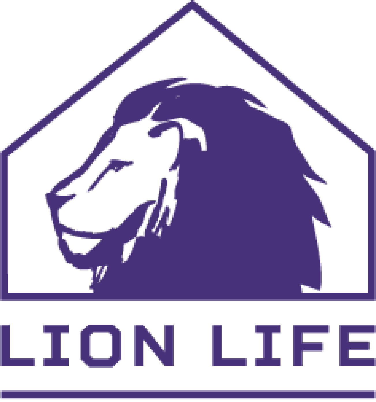 Internships — Lion Life