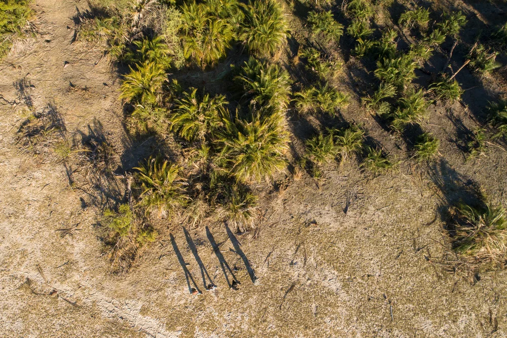 The Okavango Delta — Setari Camp