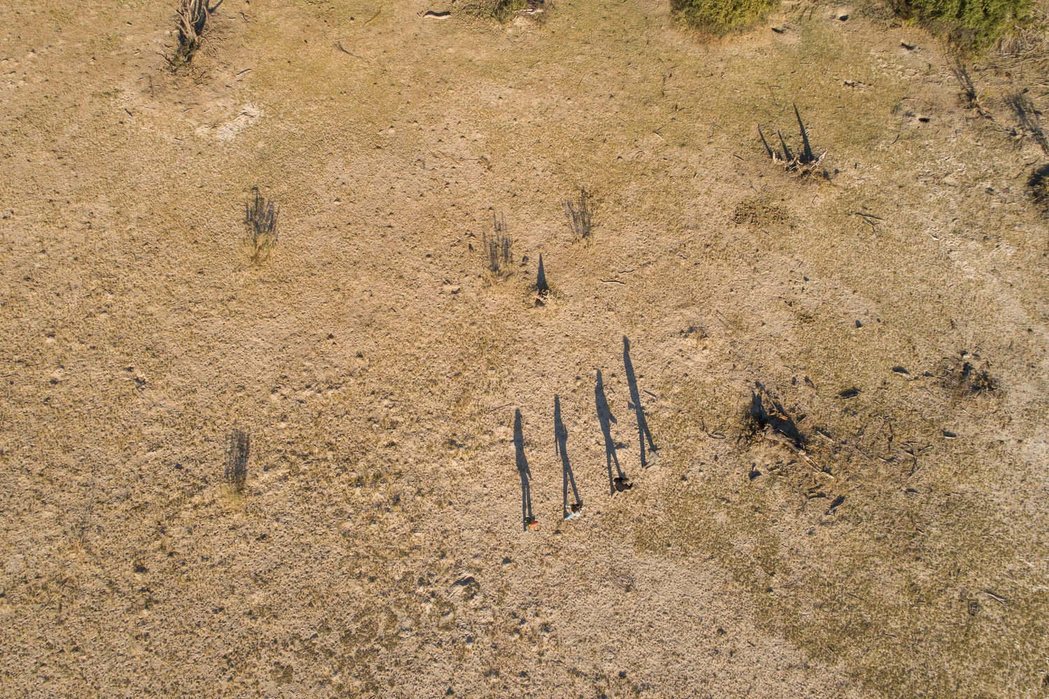 On Foot — Setari Camp