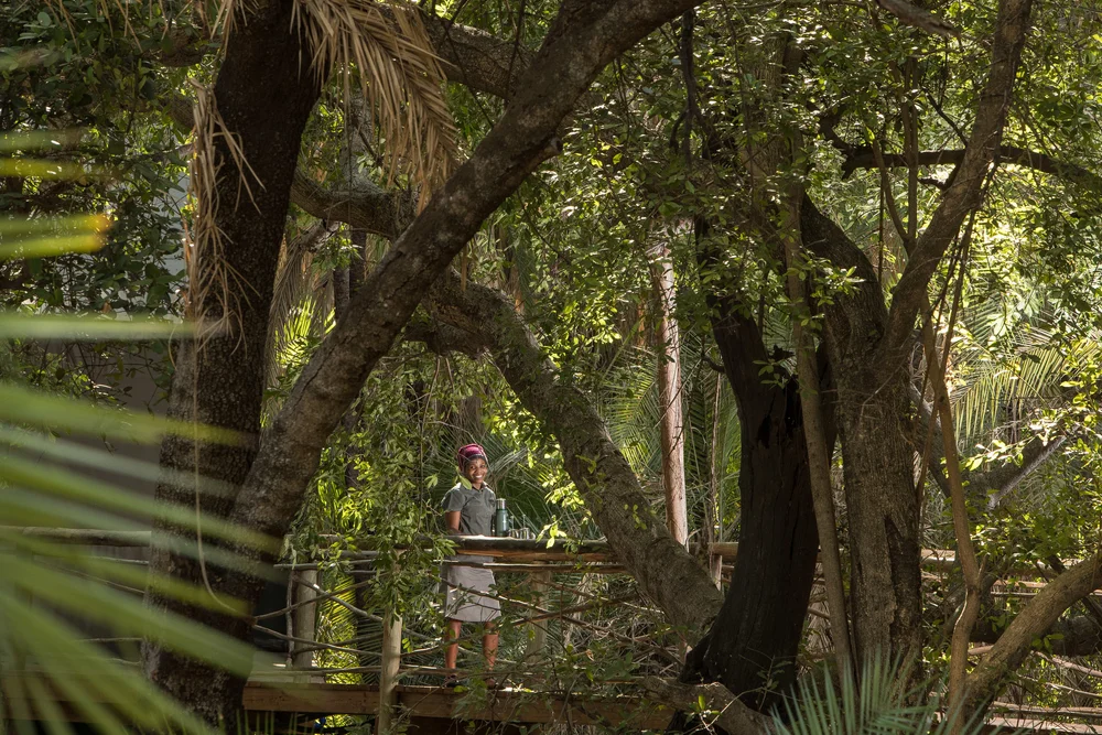 Bookings — Setari Camp