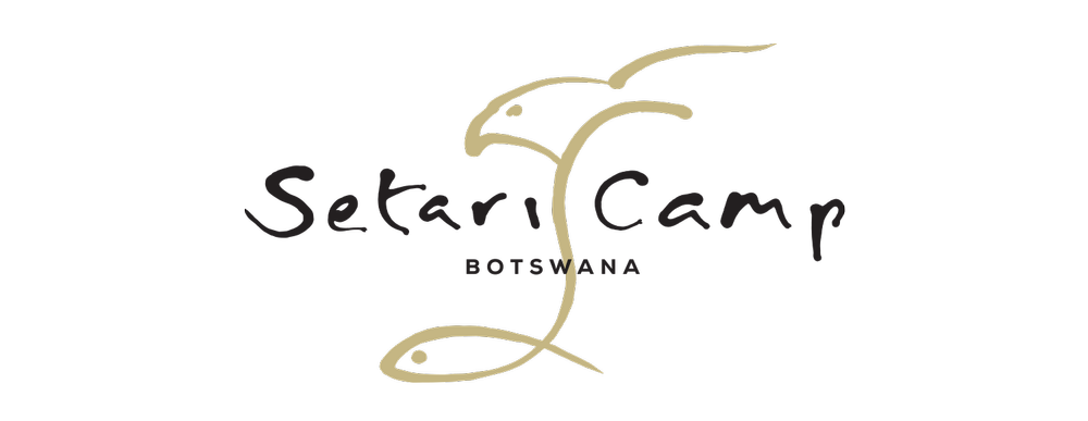 Explore Setari Camp — Setari Camp