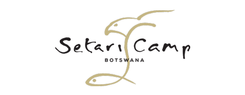 Explore Setari Camp — Setari Camp