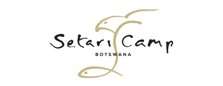 Explore Setari Camp — Setari Camp