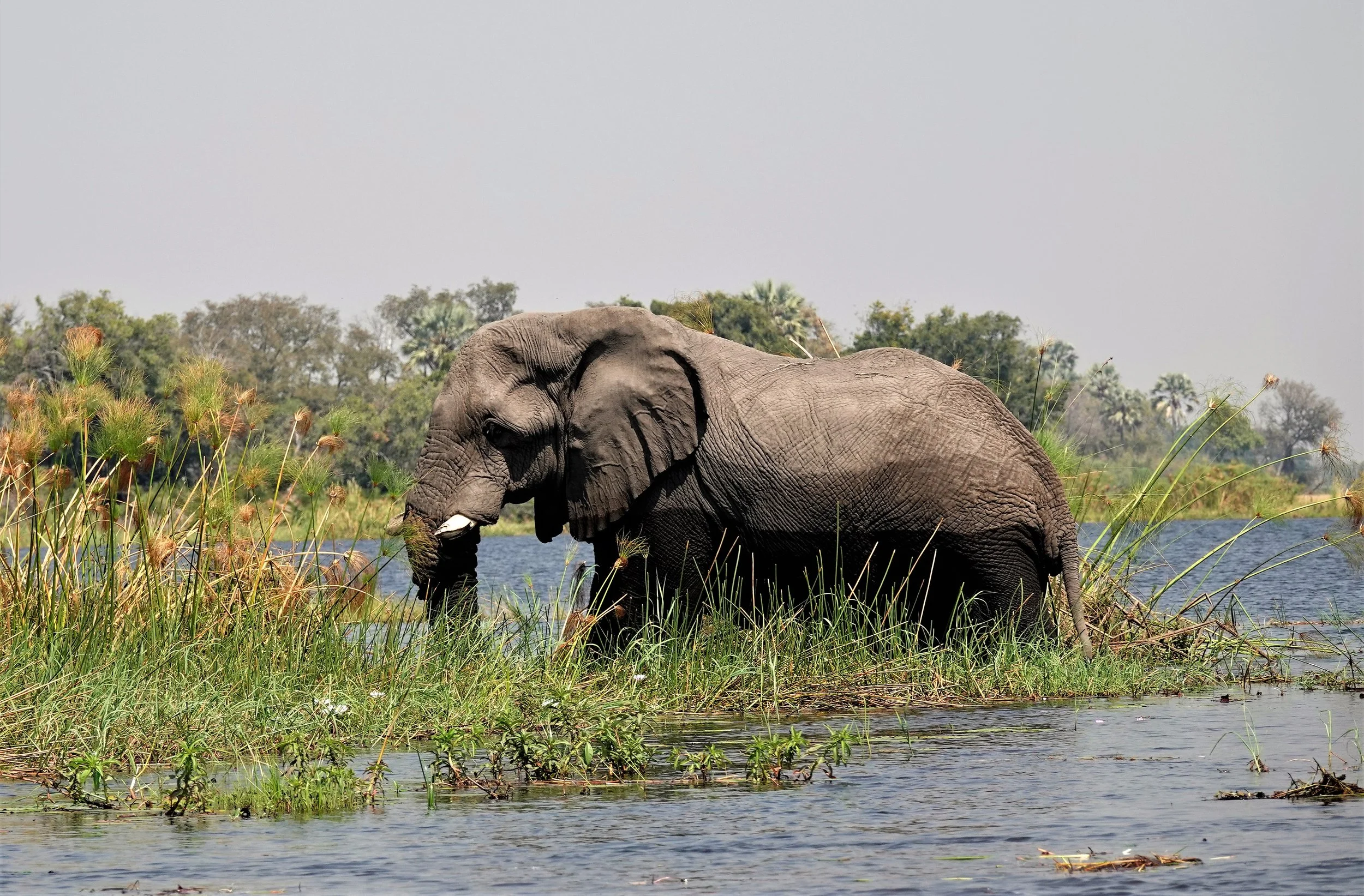 Explore Setari Camp — Setari Camp