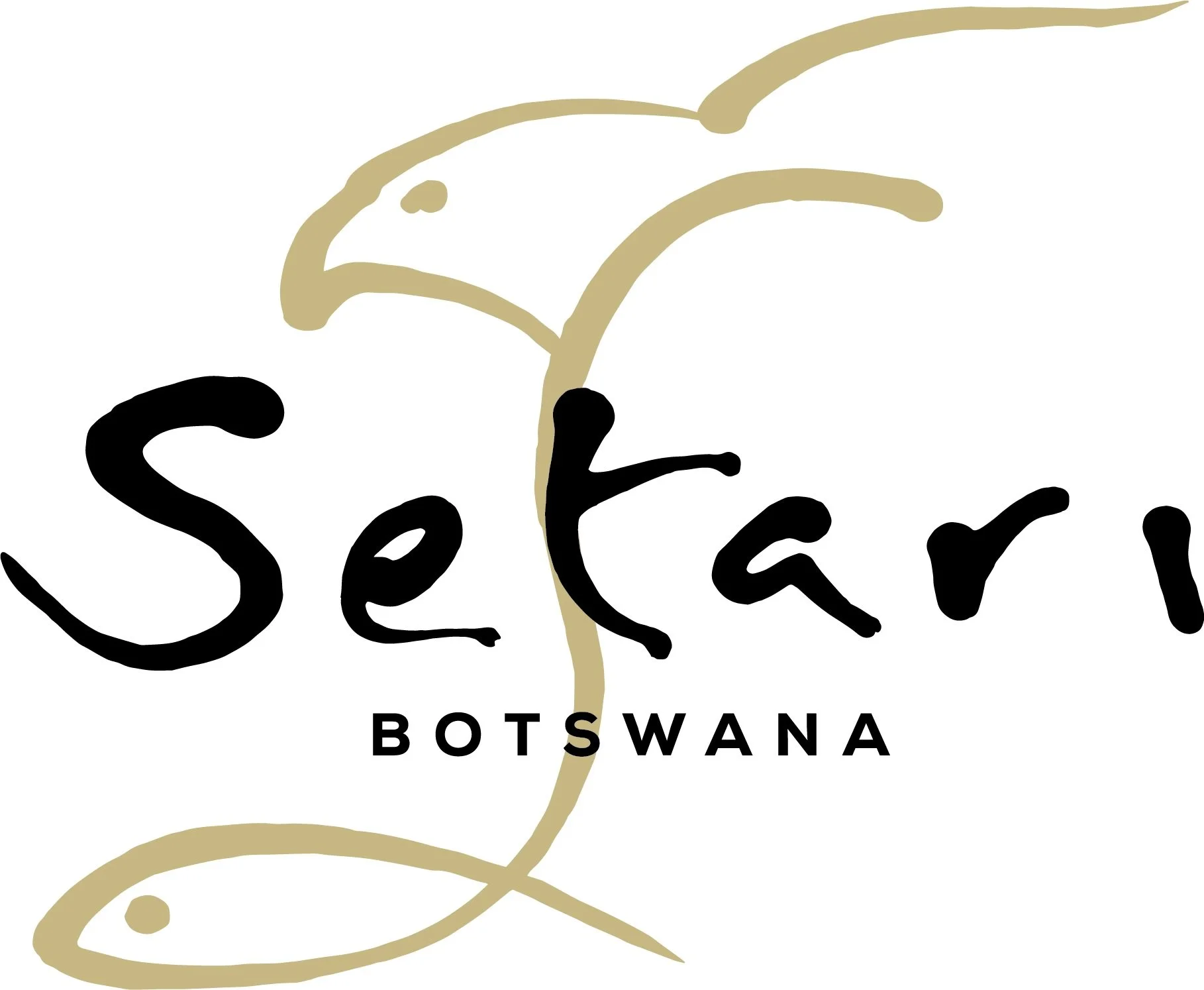 Explore Setari Camp — Setari Camp