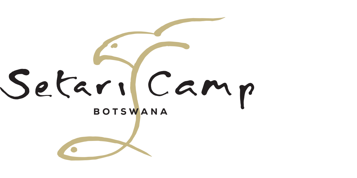 Our Camps — Setari Camp