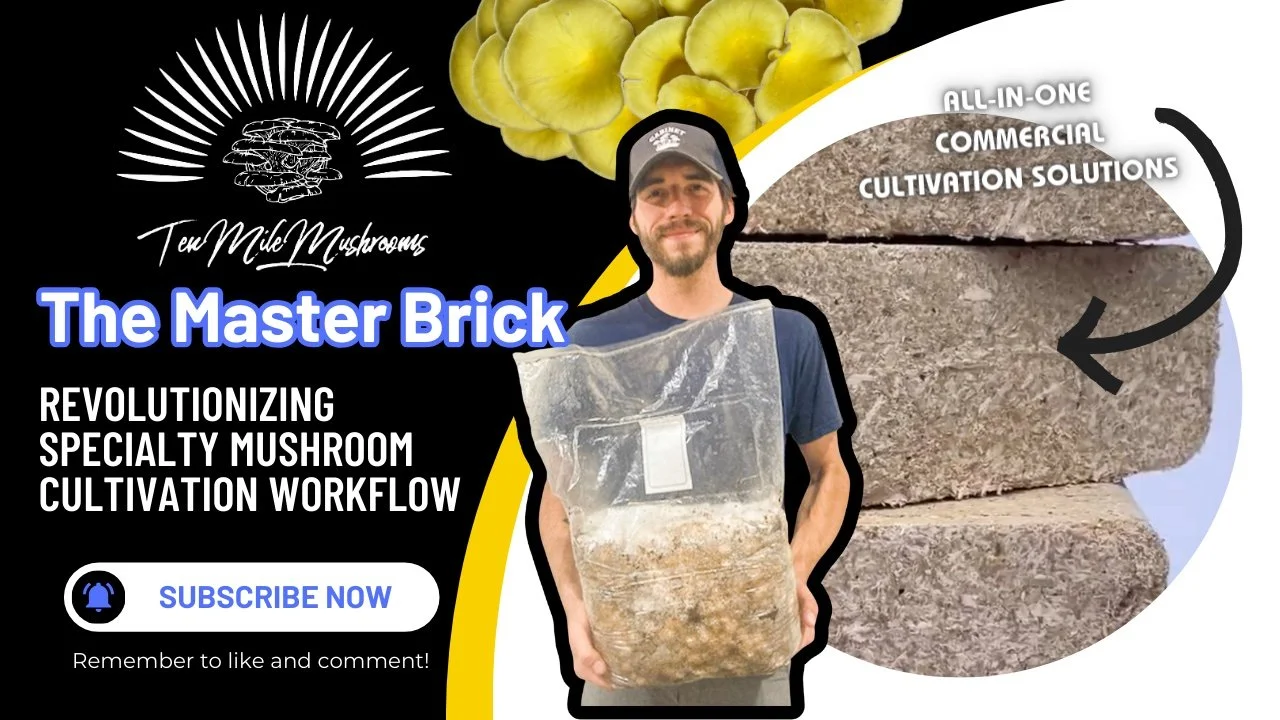 Ten Mile Mushrooms - Master Bricks