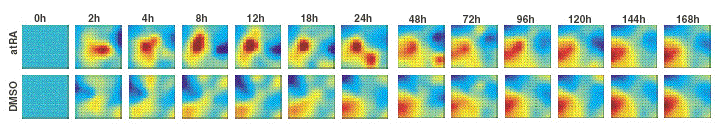 Visual: Figures — New England Complex Systems Institute