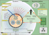 Visual: Visualizing Complex Systems Science — New England Complex ...