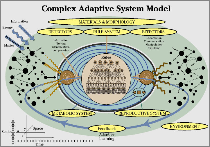 Visual: Visualizing Complex Systems Science — New England Complex Systems Institute