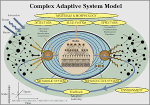 Visual: Visualizing Complex Systems Science — New England Complex ...