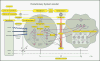 Visual: Visualizing Complex Systems Science — New England Complex ...