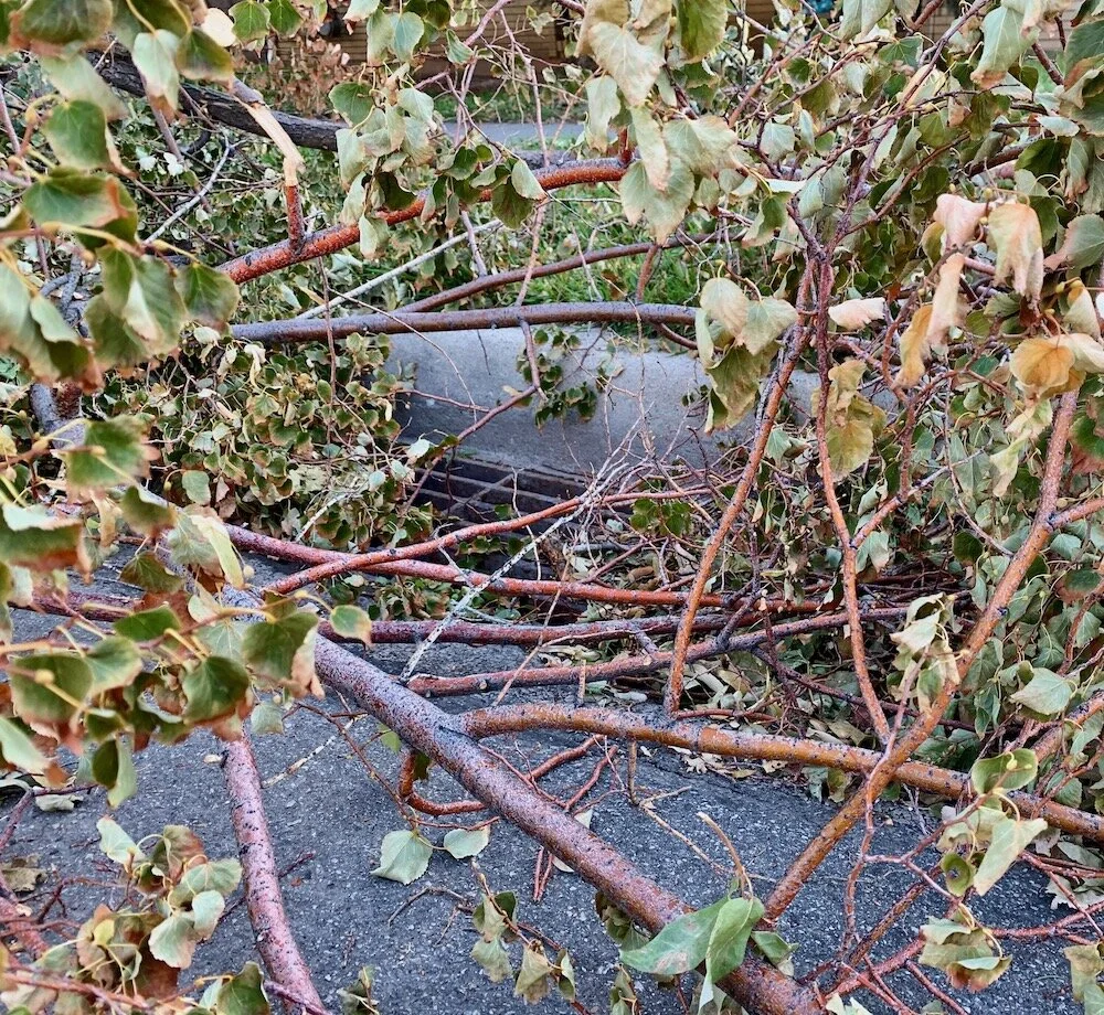 Storm Drains — Salt Lake County Stormwater Coalition