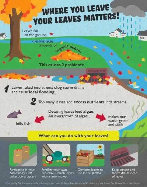 SLCo Stormwater Communications — Salt Lake County Stormwater Coalition