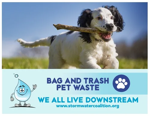 Pet Waste- Stormwater Pollution Prevention — Salt Lake County ...