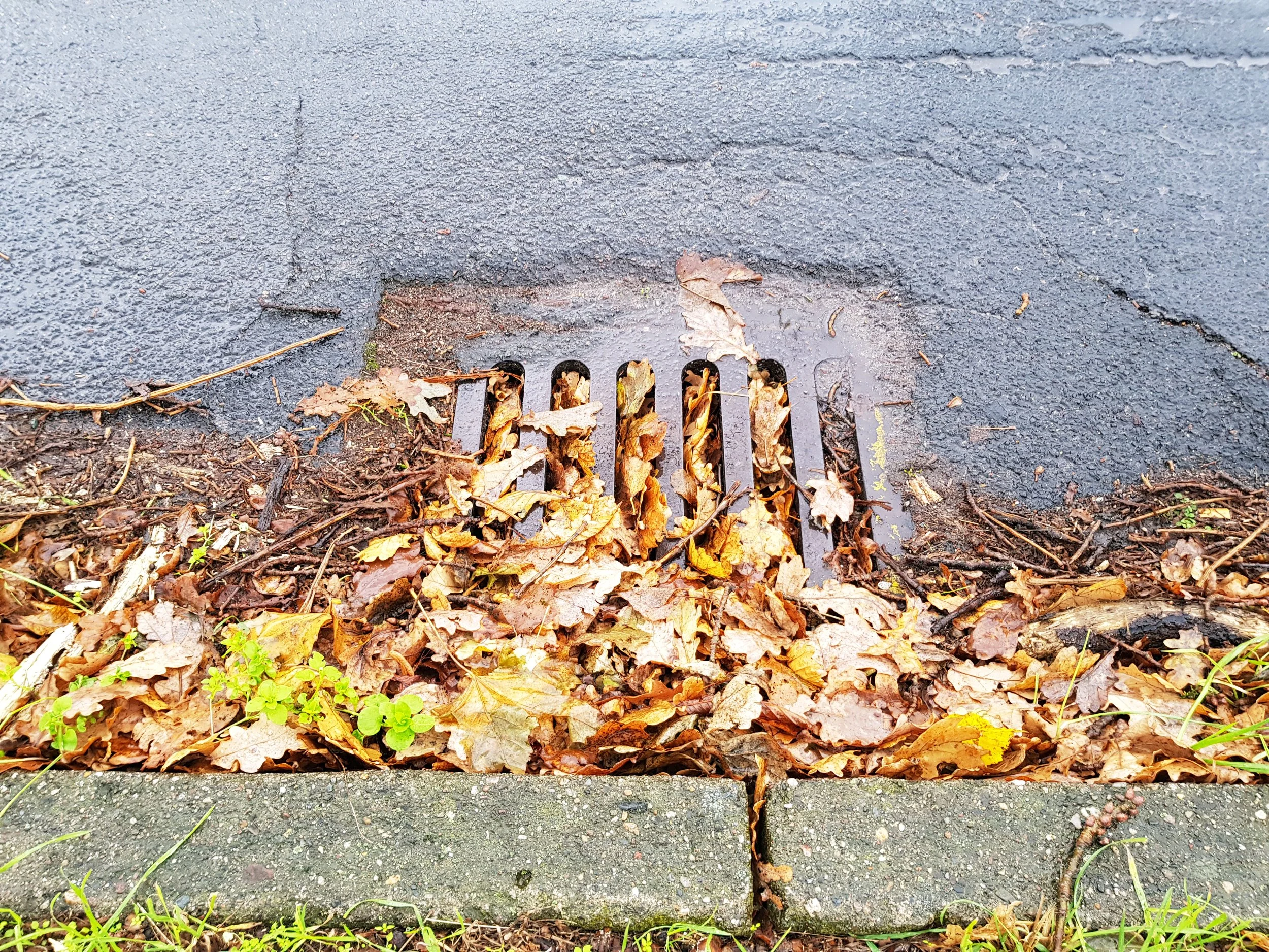 SLCo Residents — Salt Lake County Stormwater Coalition