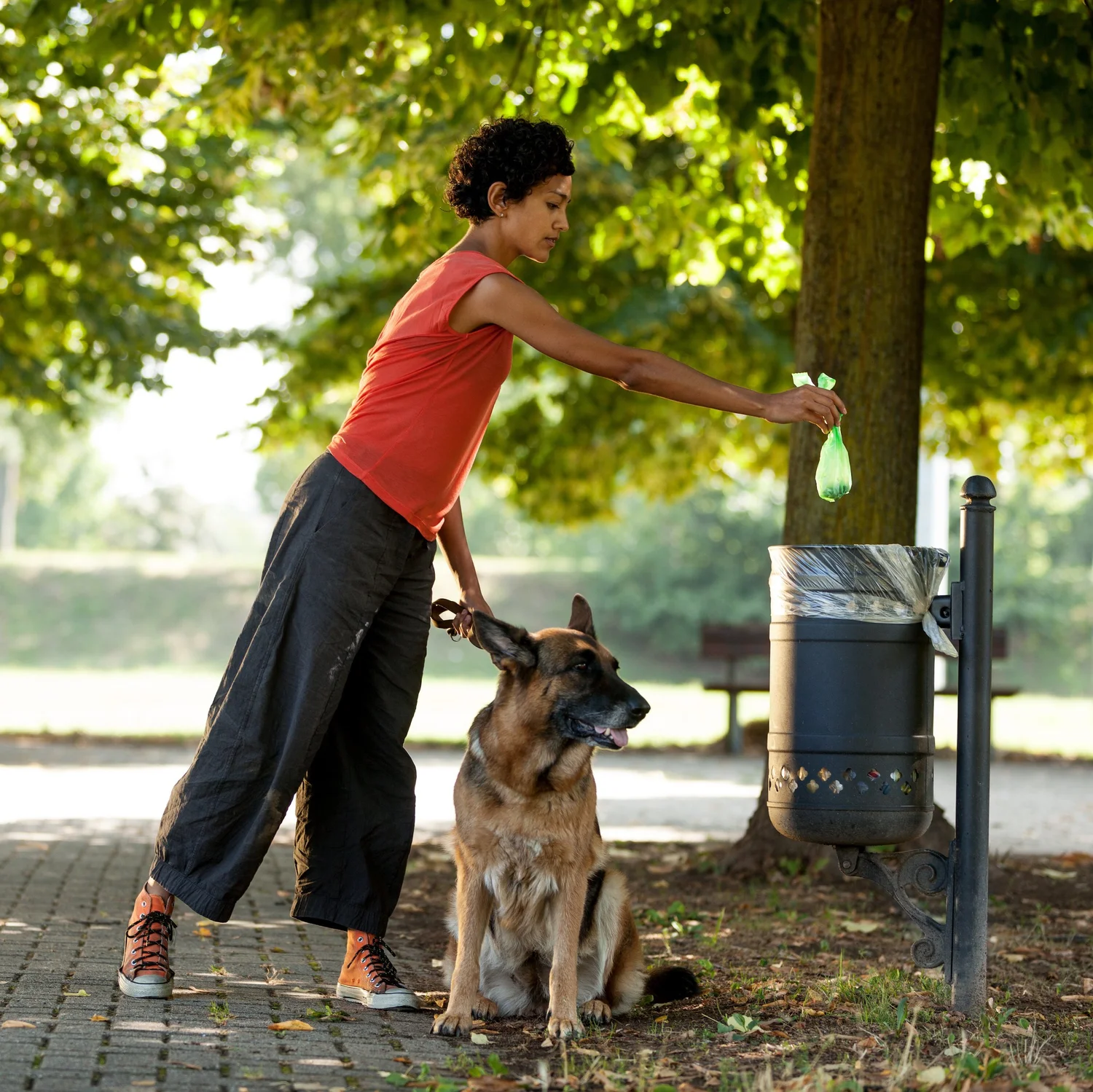 Pet Waste- Stormwater Pollution Prevention — Salt Lake County ...