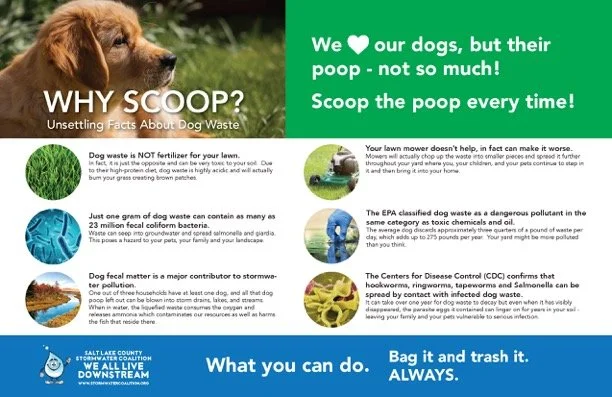 Pet Waste- Stormwater Pollution Prevention — Salt Lake County ...