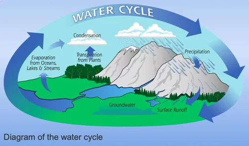 Educators — Salt Lake County Stormwater Coalition