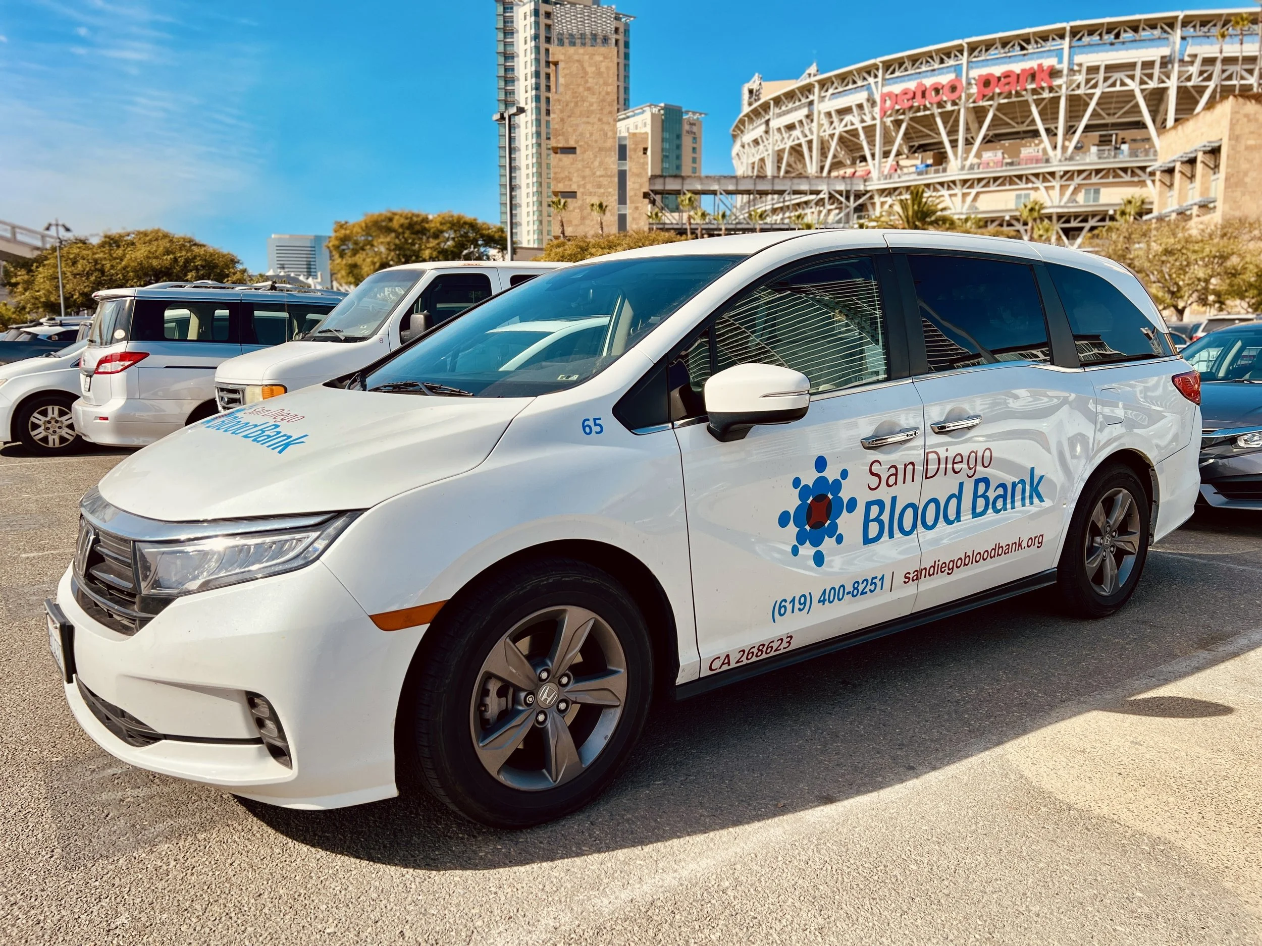 San Diego Blood Bank Foundation