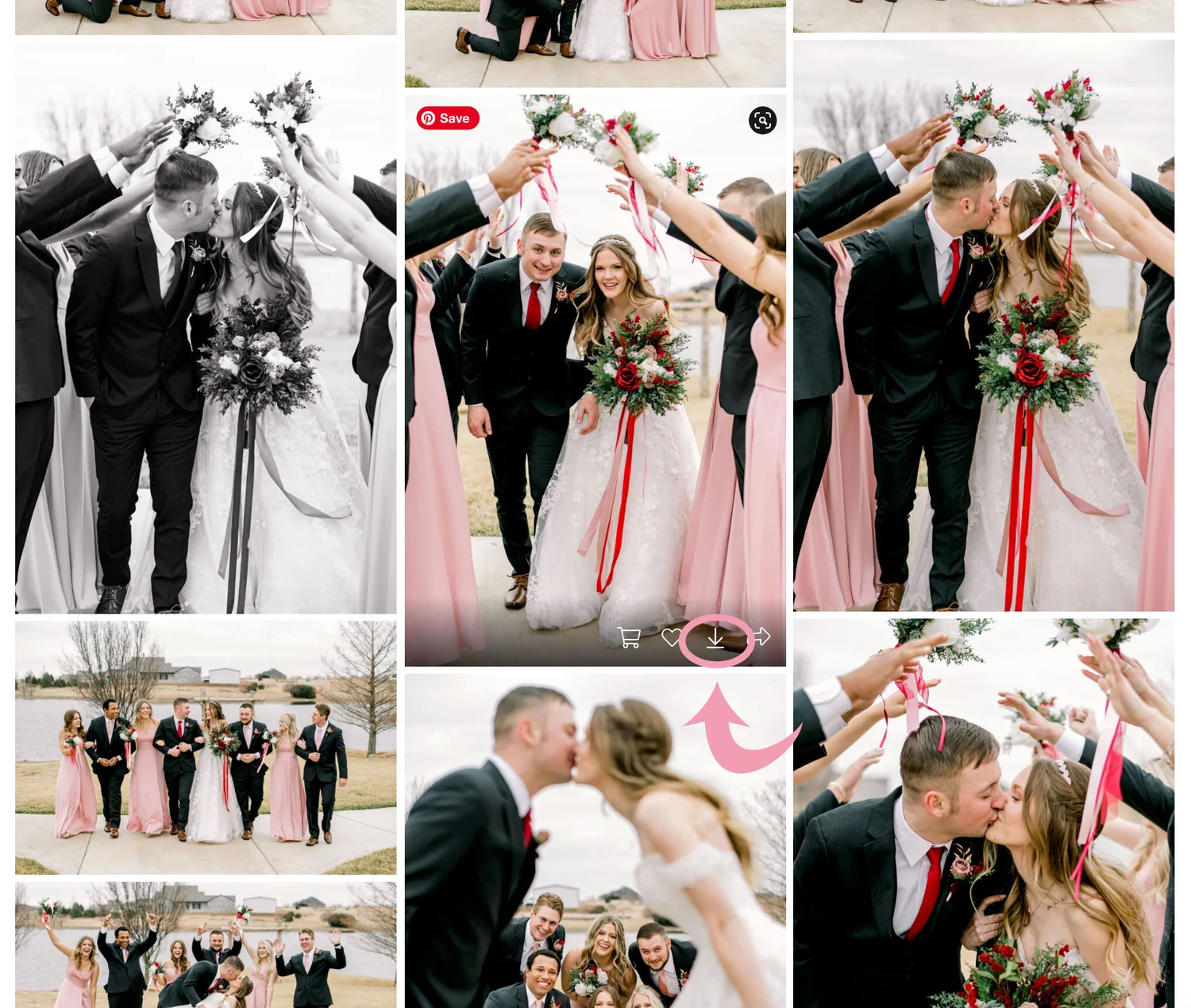 How to Download Images from Pixieset — Camera Chicks Photography ...