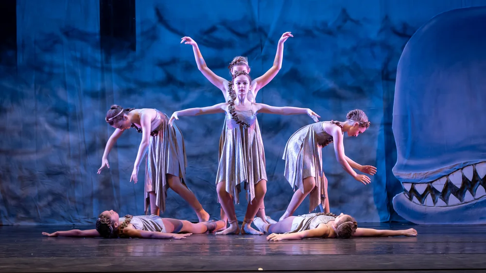 2025-2026 Class Schedule — NJSDA