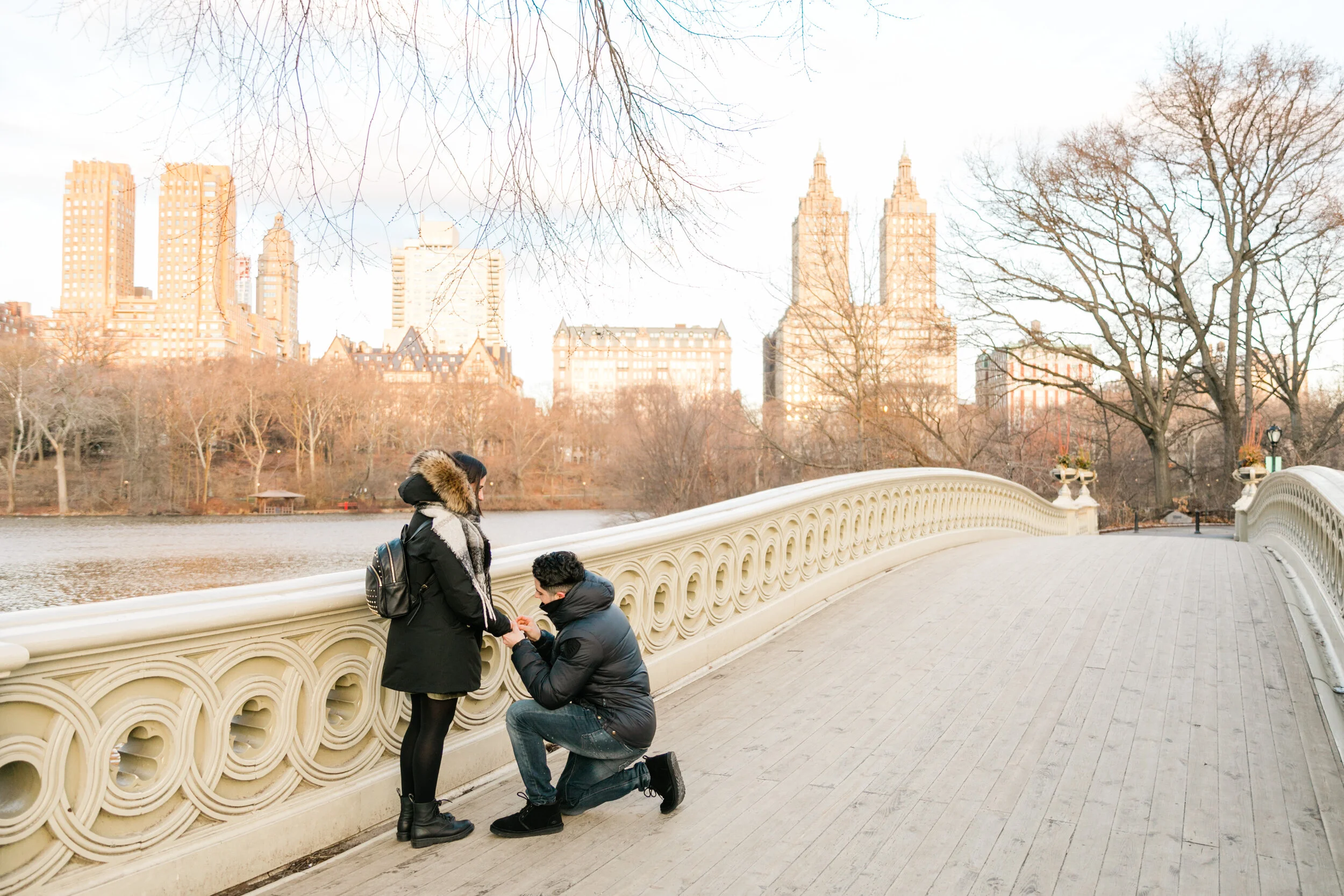 Central Park Bow Bridge Proposal — Lizzie Burger Photography | NY & NJ ...