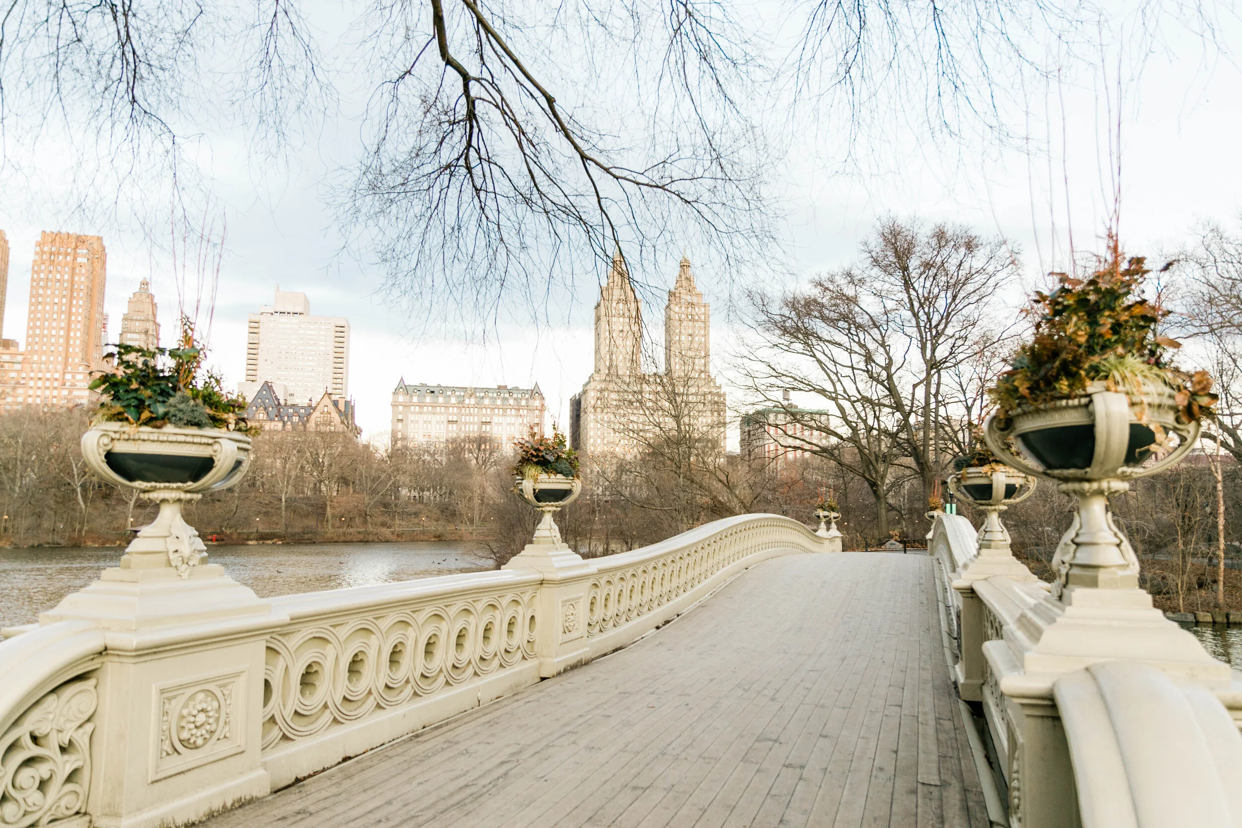 Central Park Bow Bridge Proposal — Lizzie Burger Photography | NY & NJ ...