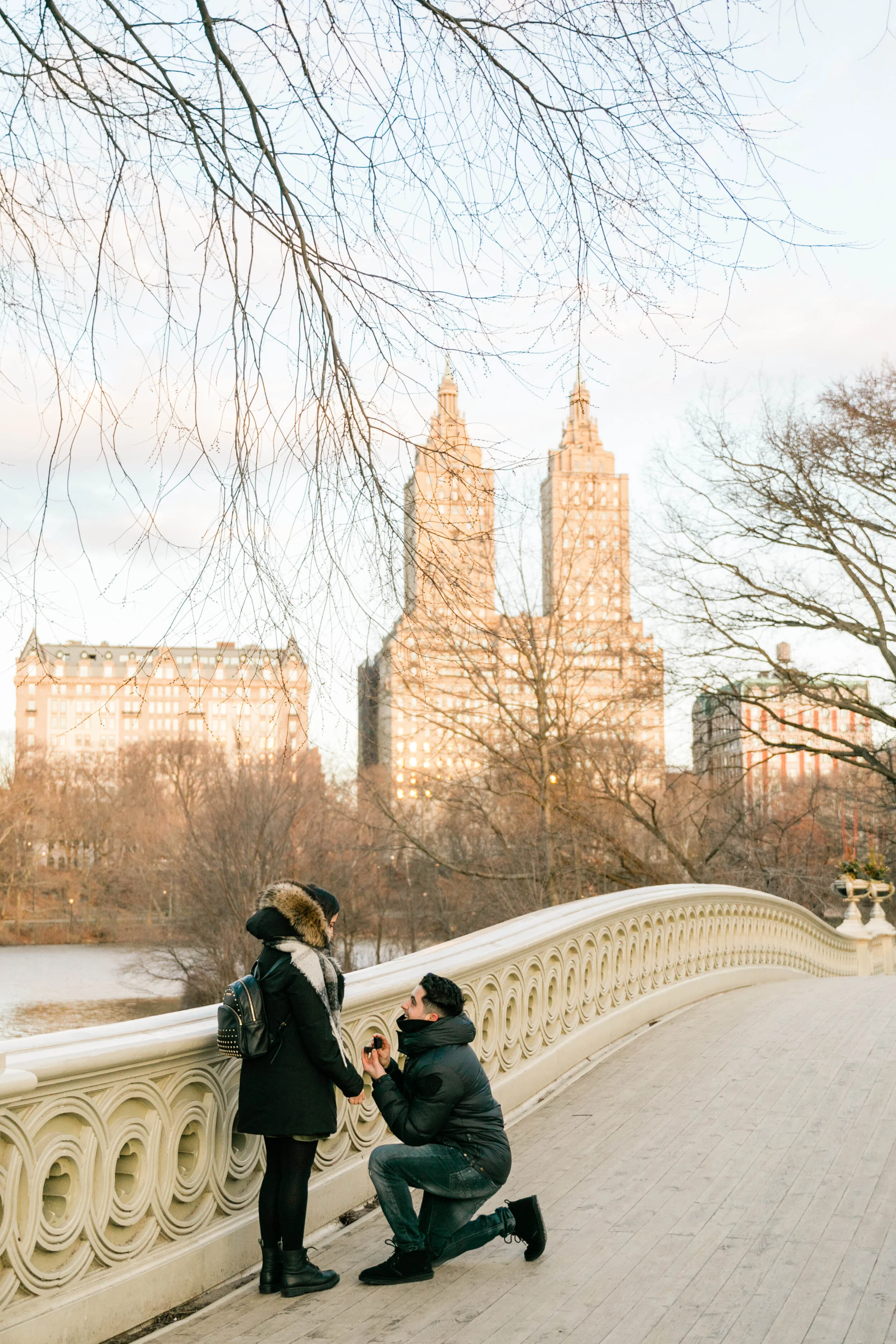 Central Park Bow Bridge Proposal — Lizzie Burger Photography | NY & NJ ...