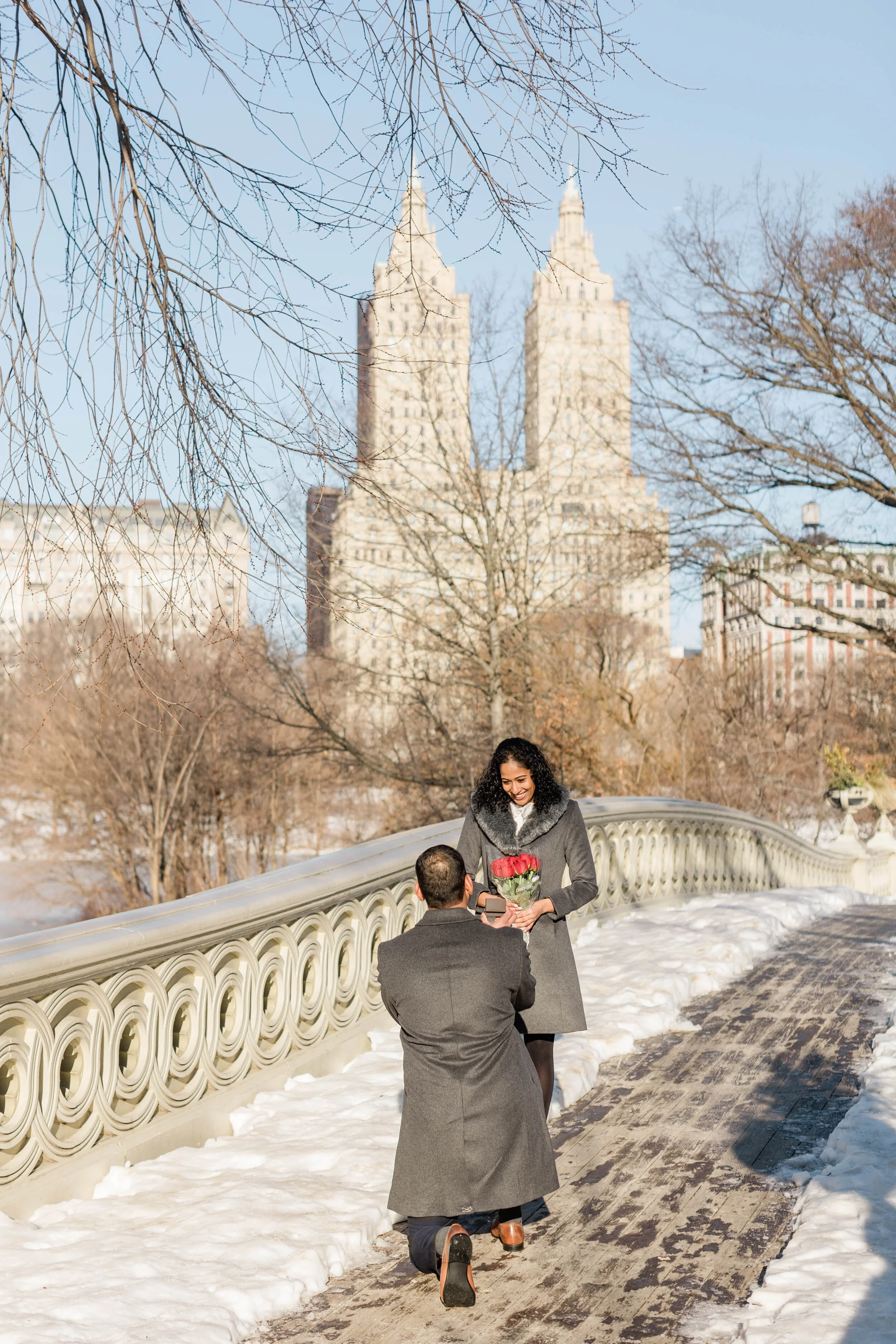 Central Park Proposal — Lizzie Burger Photography | NY & NJ Wedding ...