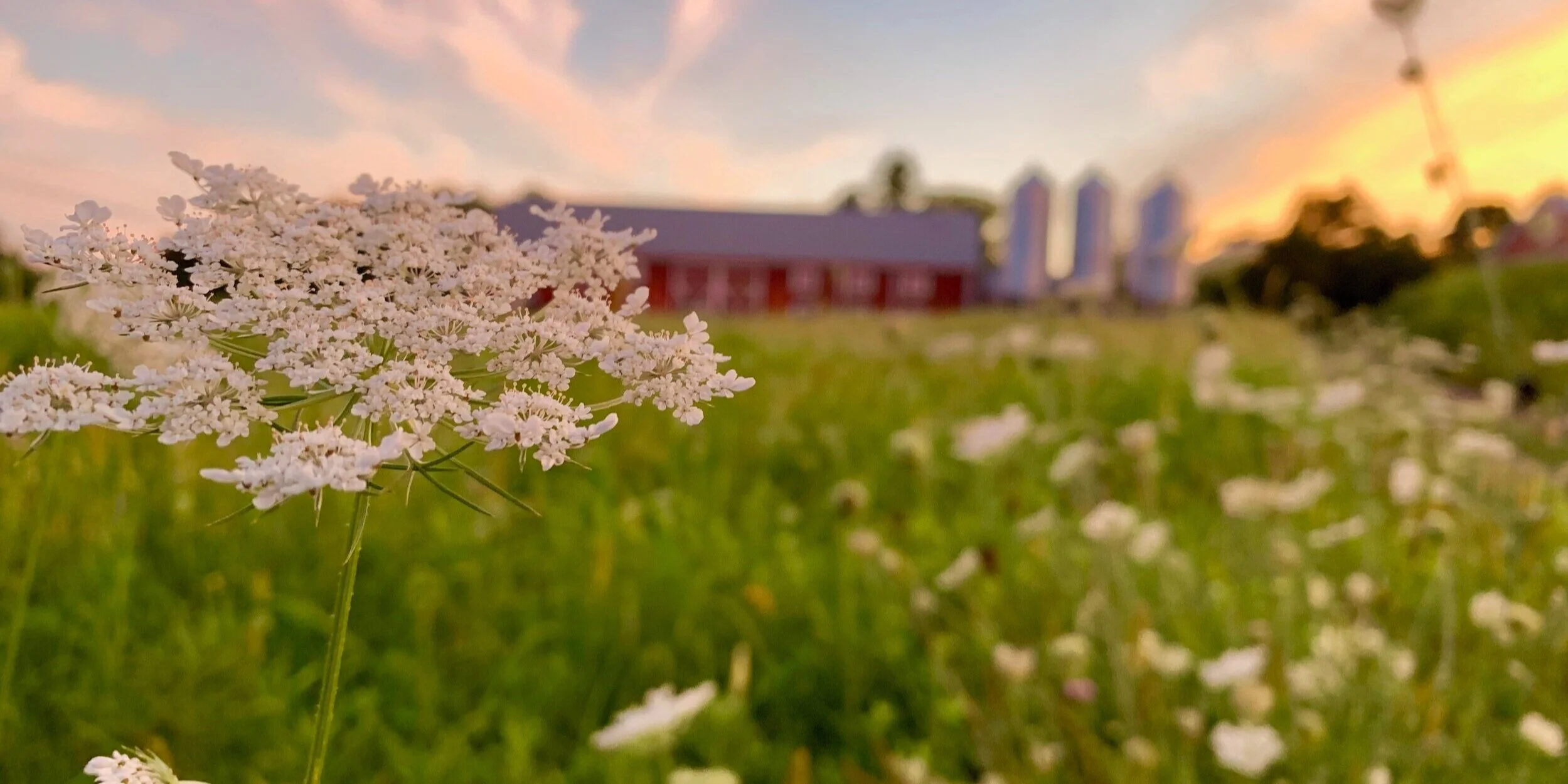 Pennsylvania Distillery | Eight Oaks