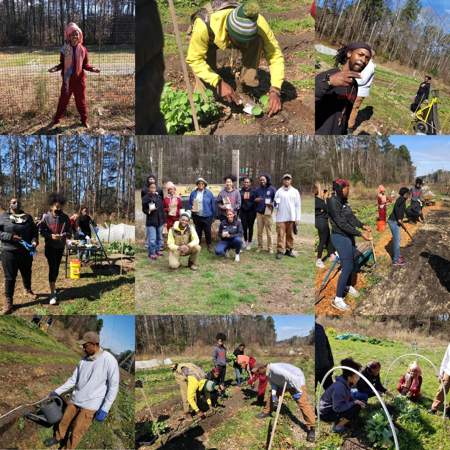 Gratitude Botanical Farm