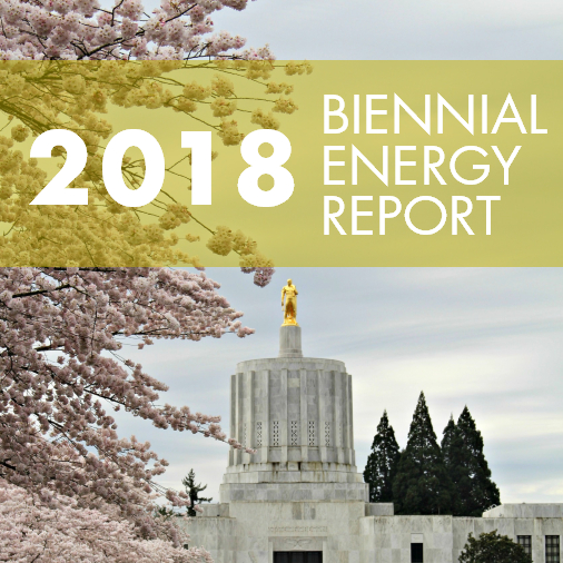 Biennial Energy Report 2018 — Energy Info