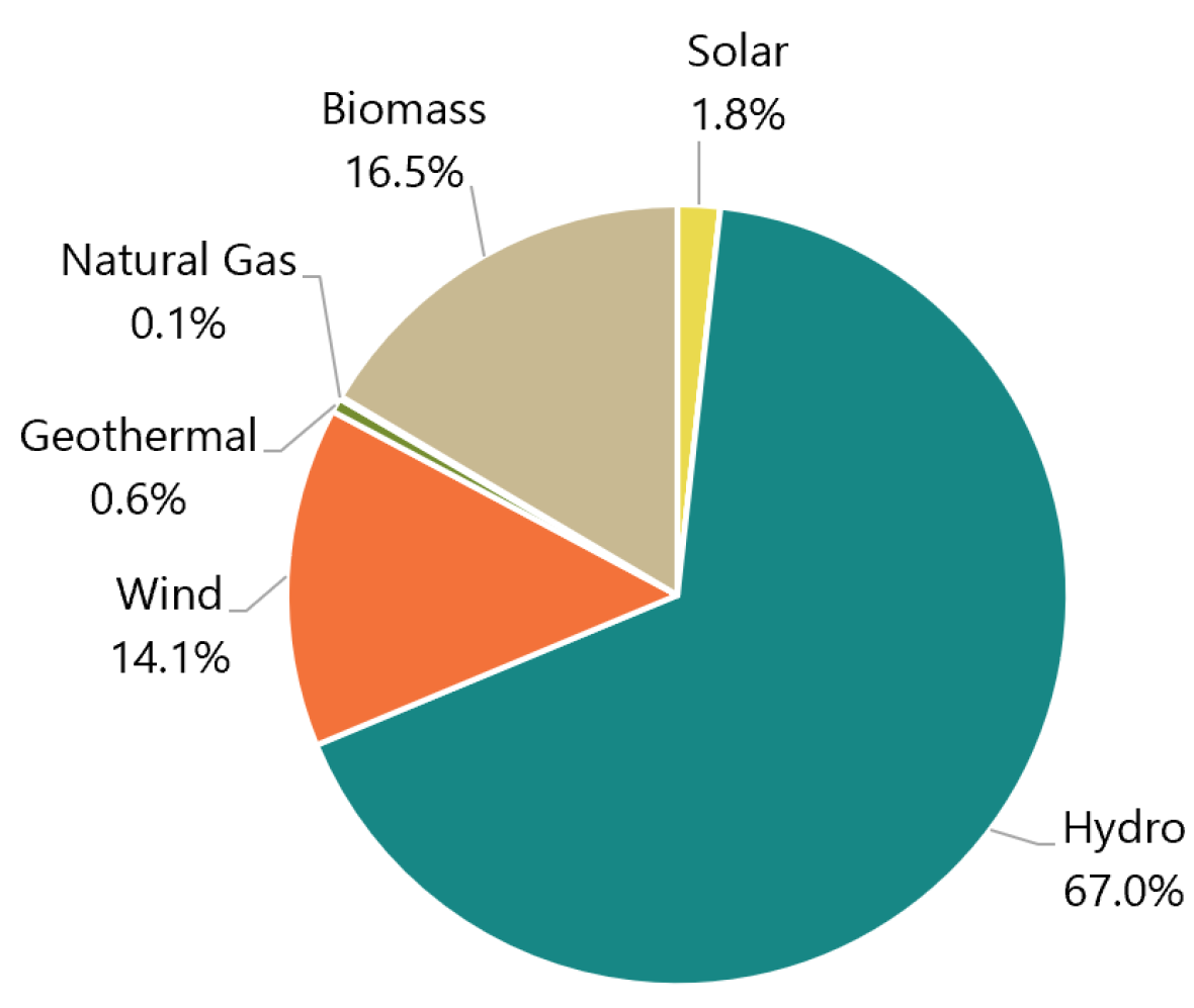 Production 2020 — Energy Info