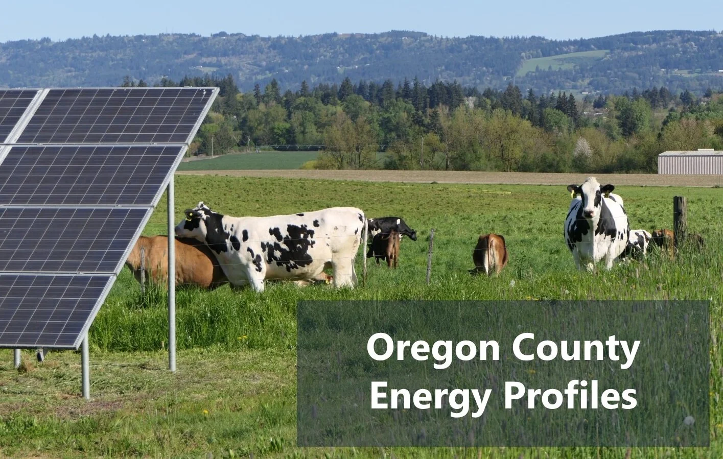 January 2021 Newsletter — Energy Info
