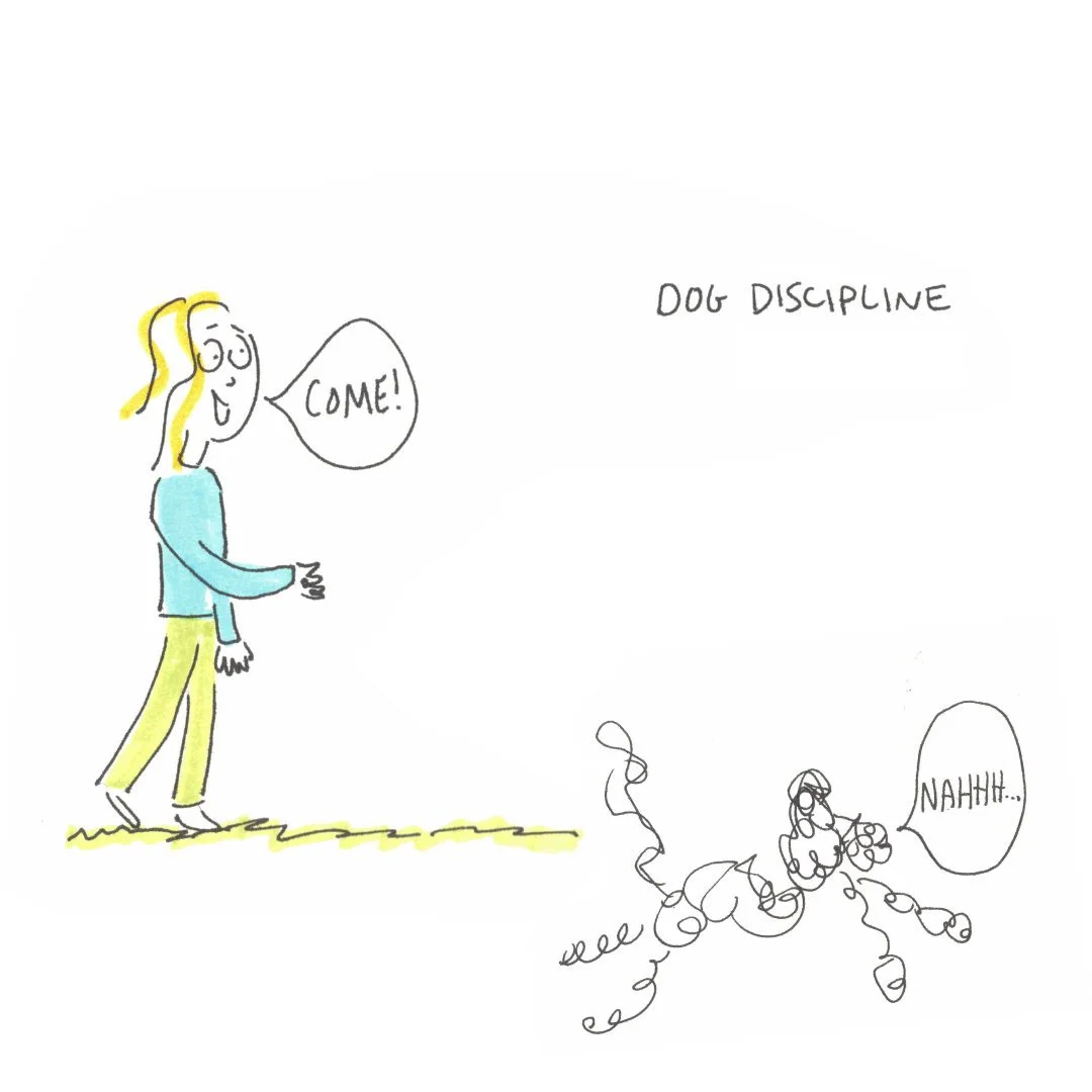 Doodles - life with a doodle — Maddy Buck