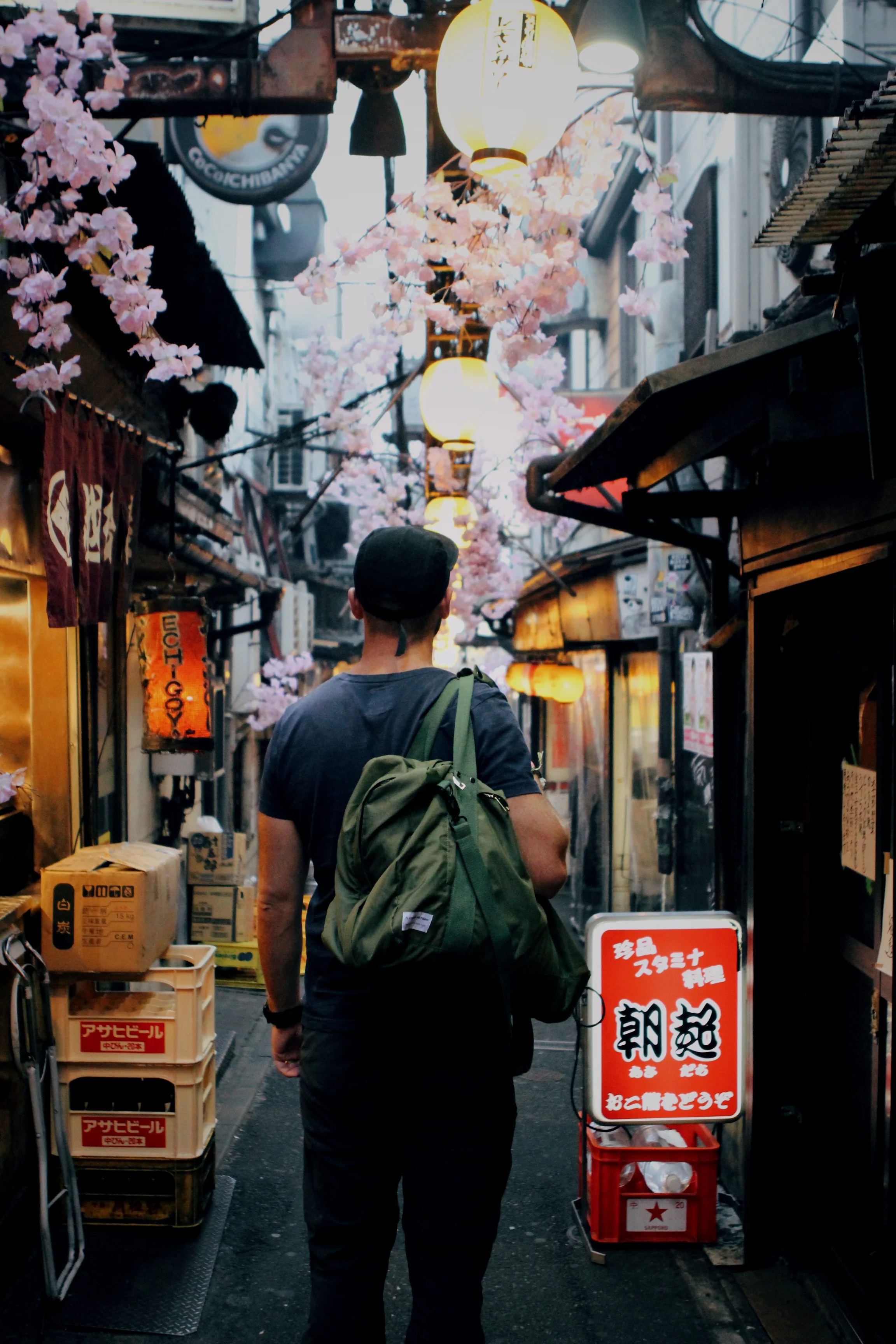 The Best Plan For One Month In Japan The Curious Travel The Best Plan For One Month In Japan The Curious Travel