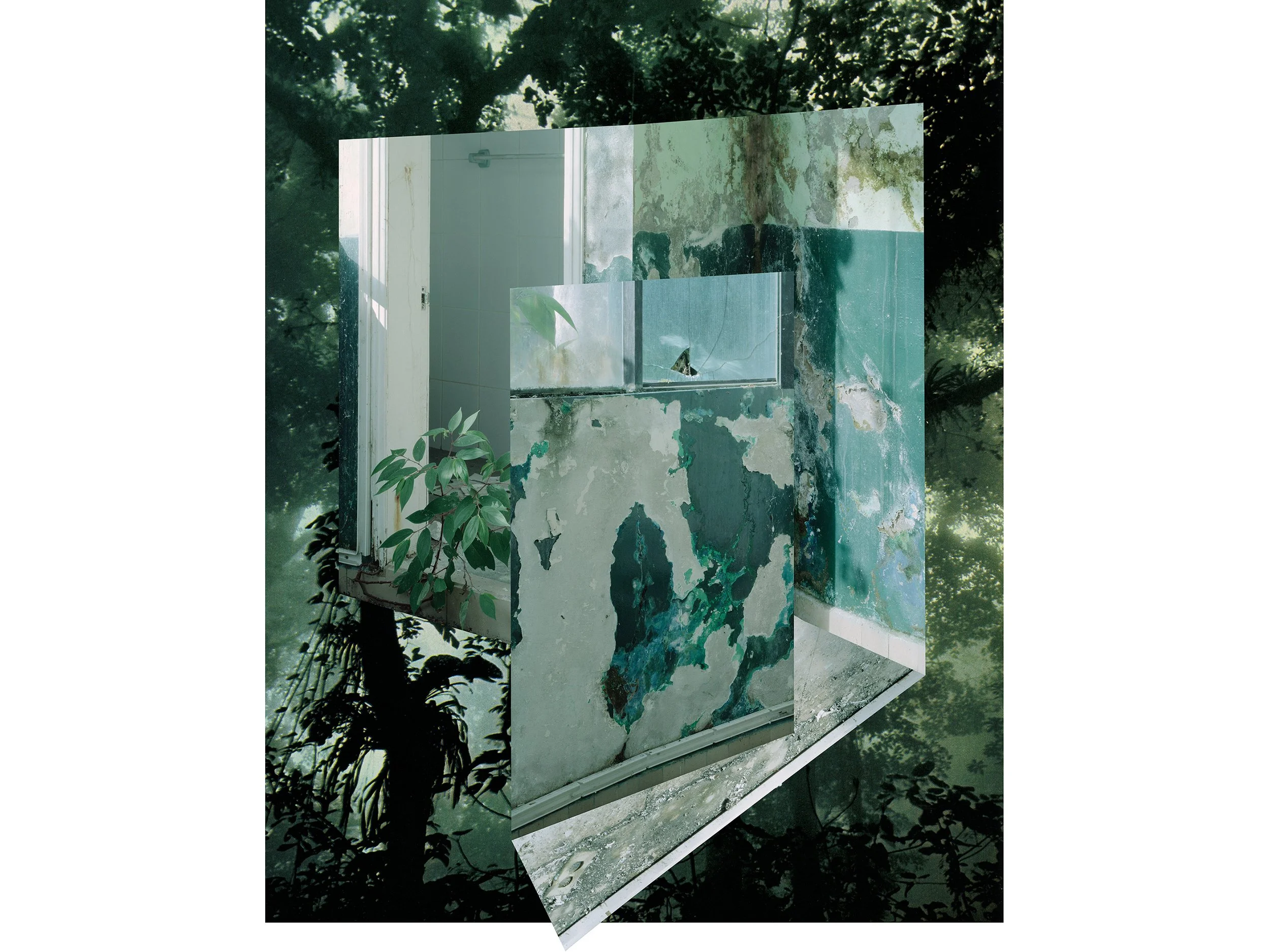 Crystal Forest — Sayler/Morris