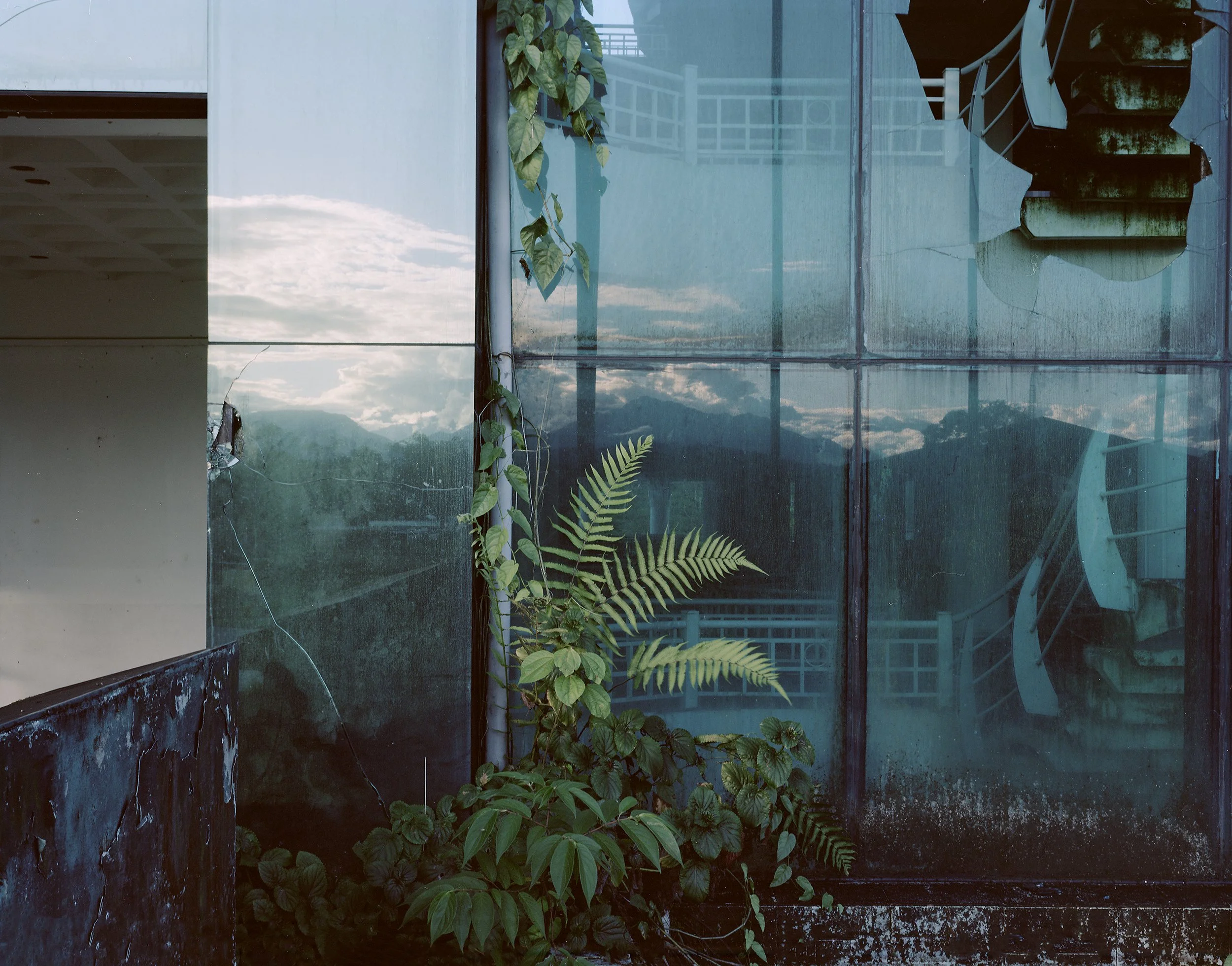 Crystal Forest — Sayler/Morris