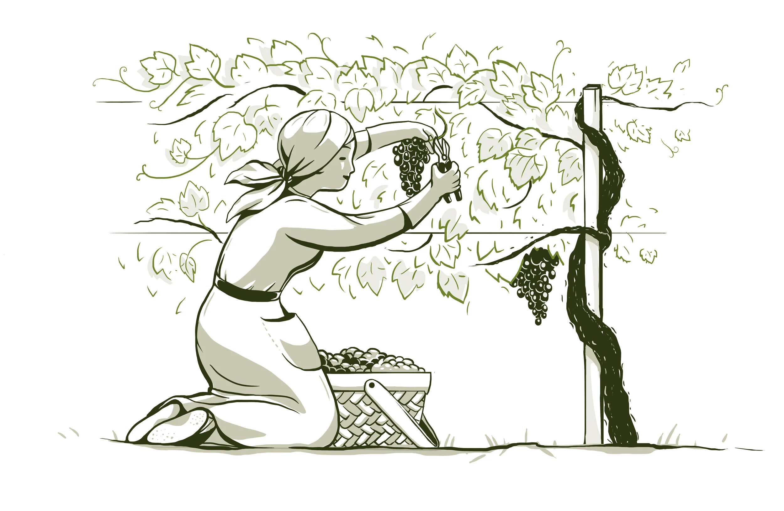 Roots of Peace