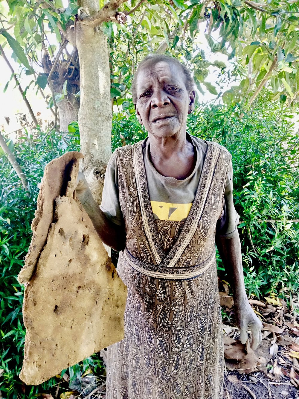 Lucy Has a Family! — Equipping With Truth