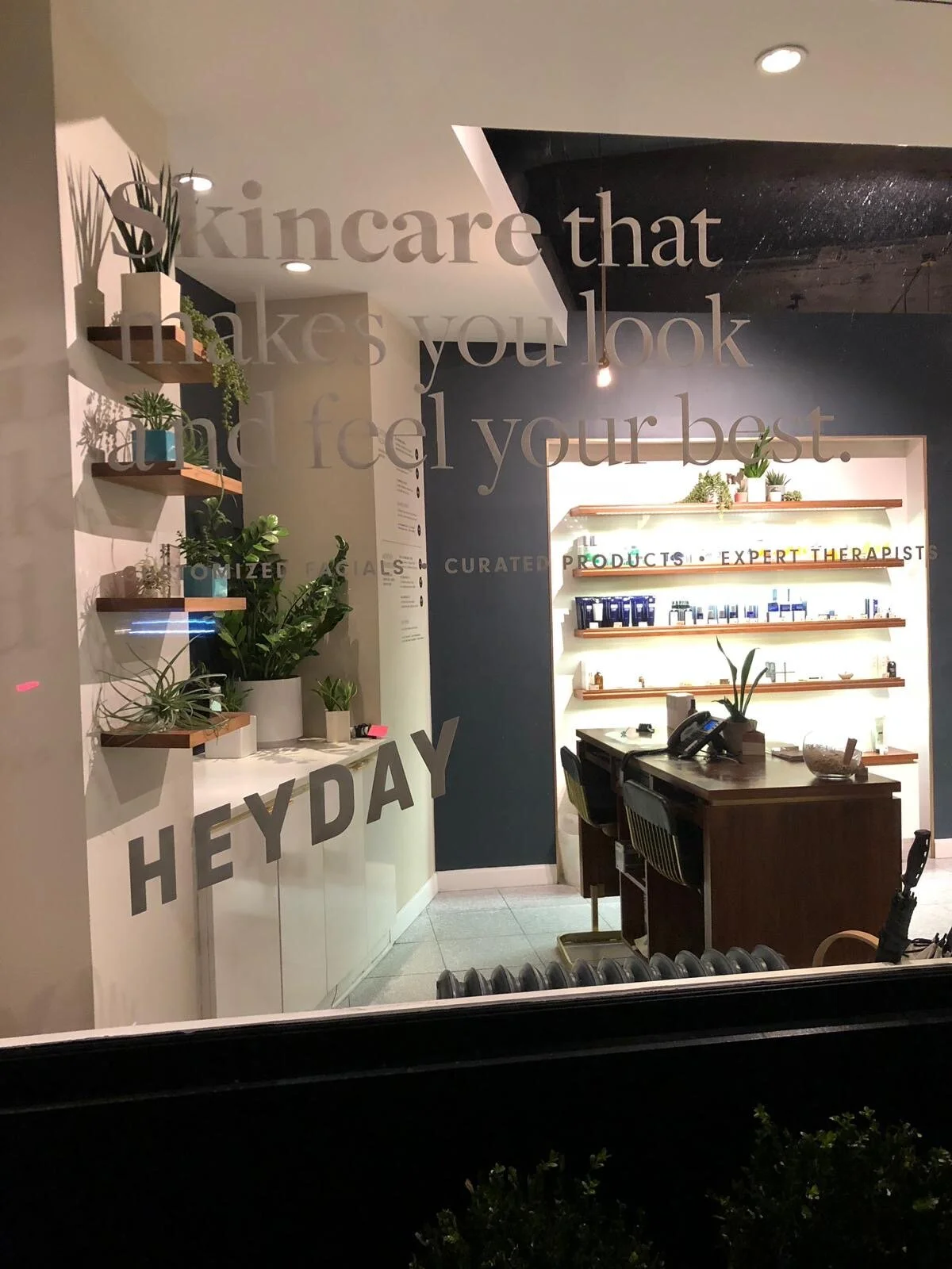 Fine Dining and Hip Hotspots in New York (2023) | Bearleaders