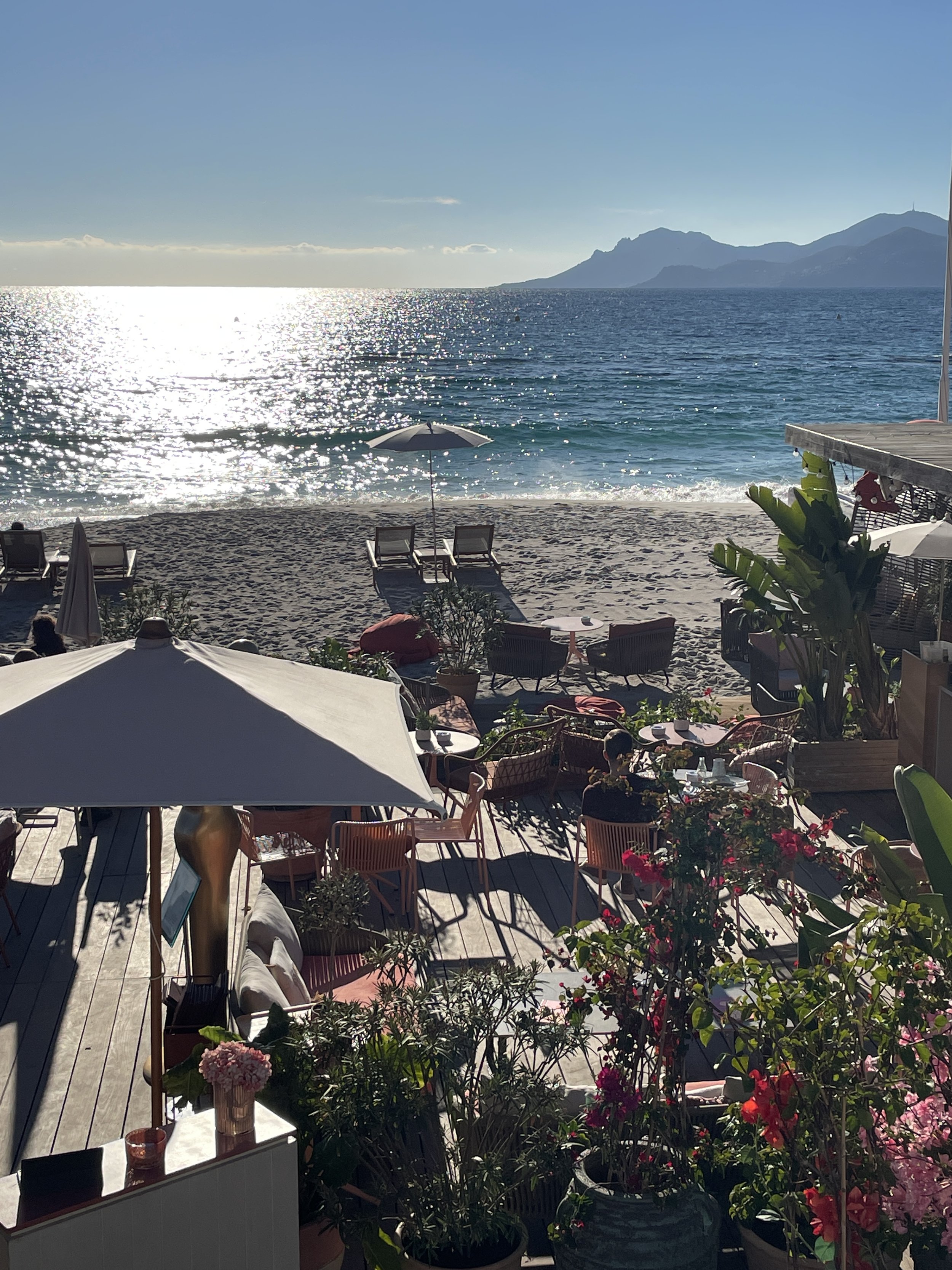 The Best Restaurants & Bars in Cannes on the French Riviera (2023)
