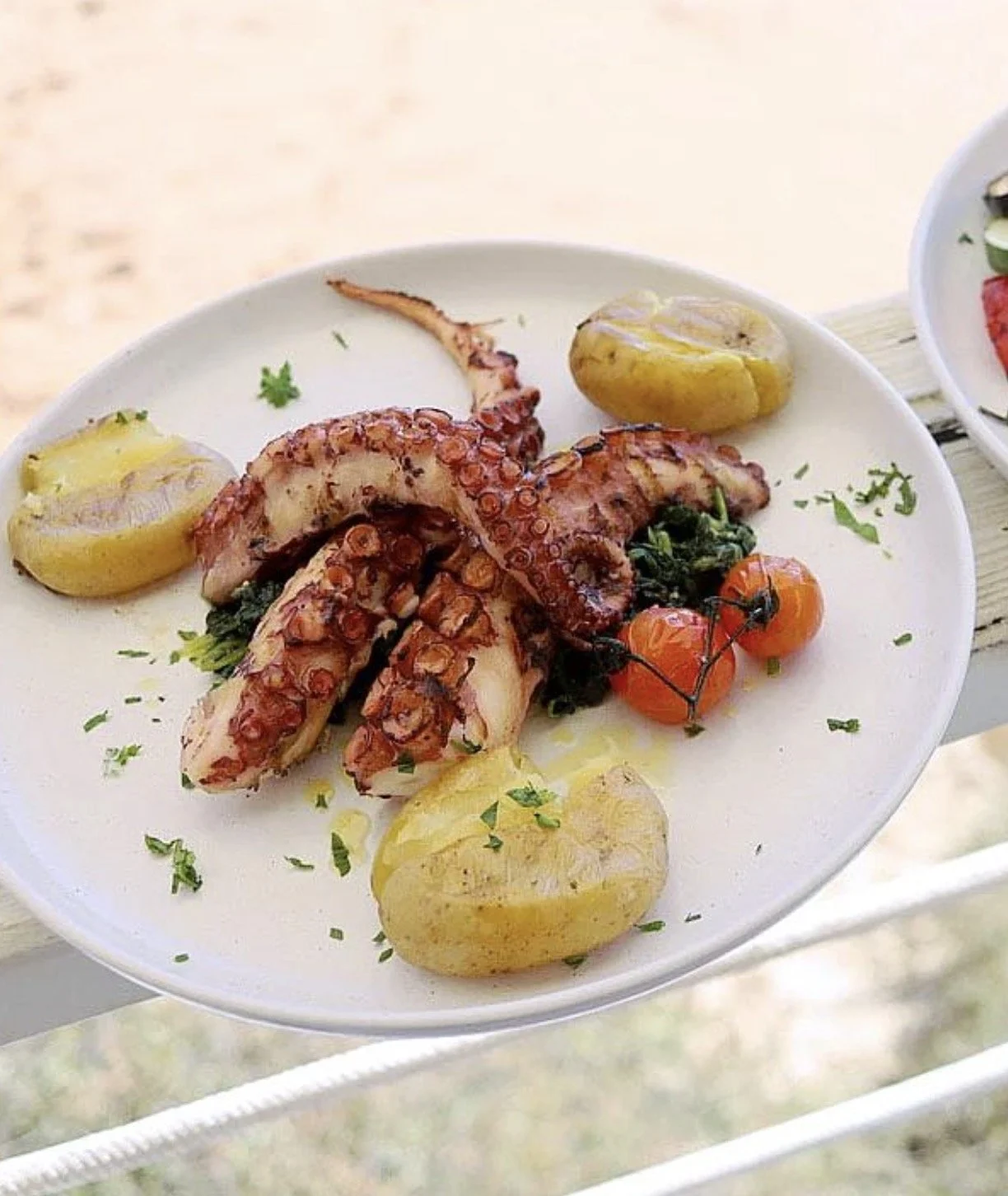 The Best Restaurants and Bars in Portimão (2023) | Bearleaders