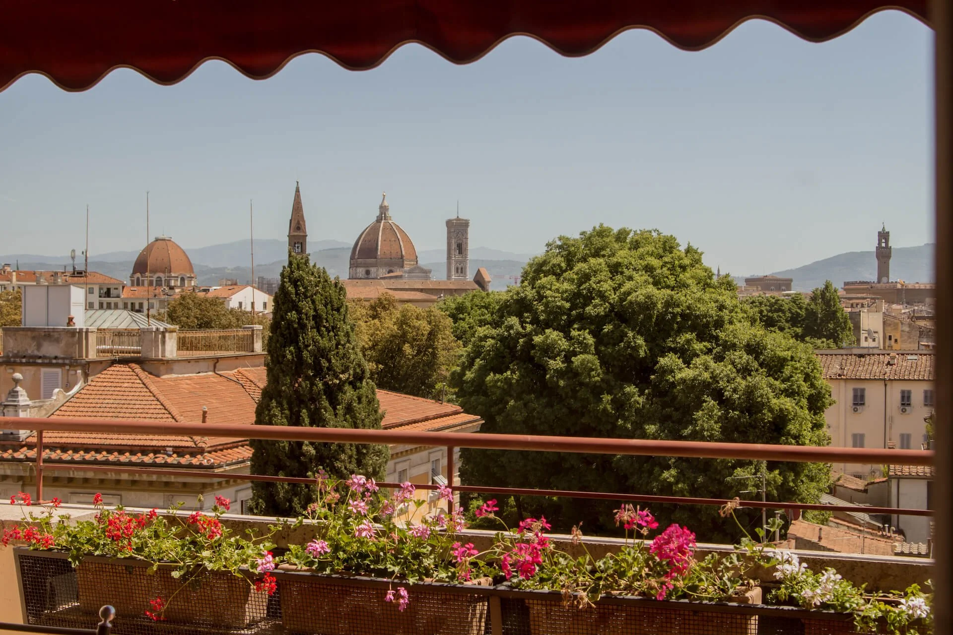 Experience the lifestyle & travels of The Bearleaders