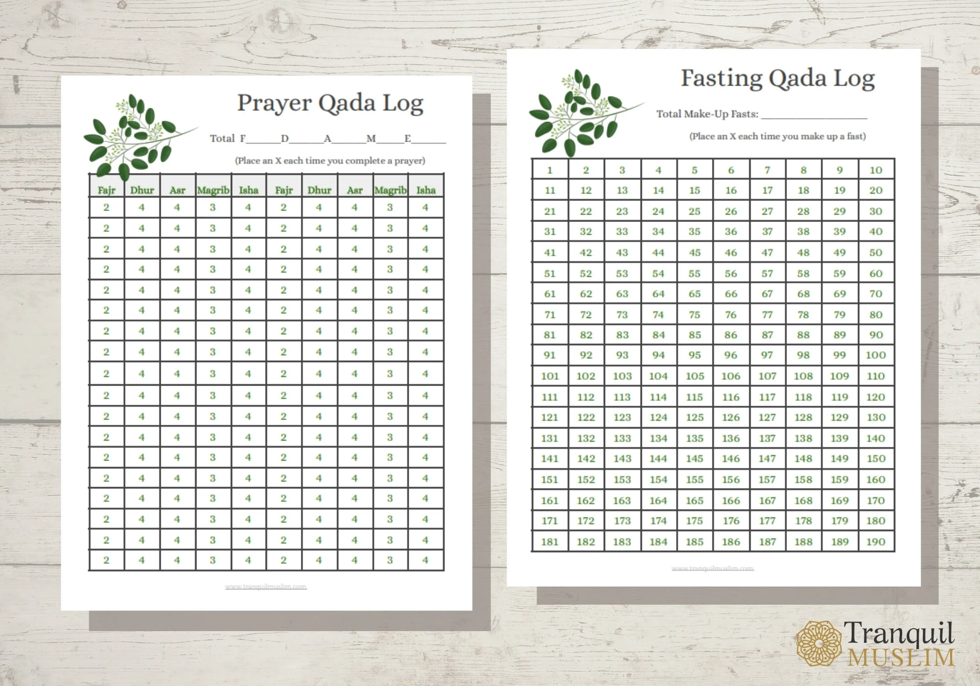 A Muslim’s Guide To Qada (Missed Fards) — Zakeeya Ali