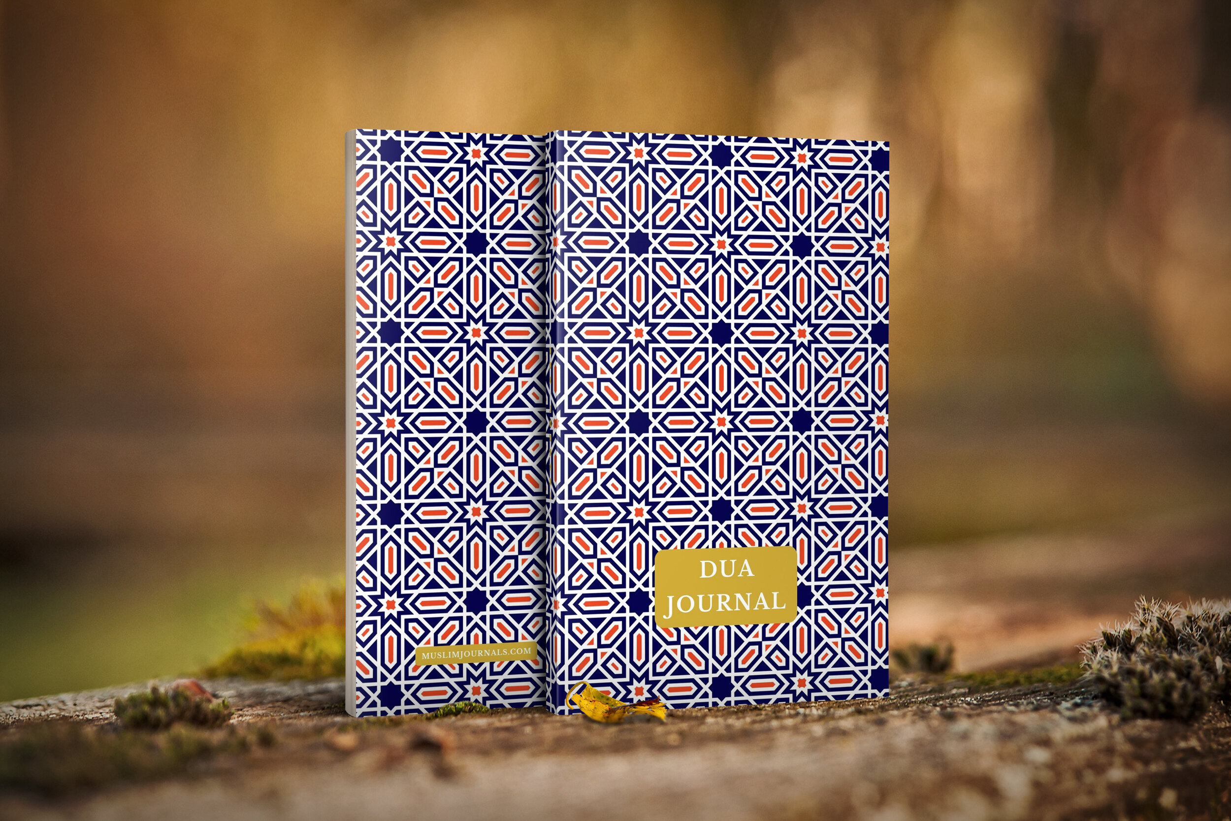 How To Get Your Duas Accepted — Zakeeya Ali