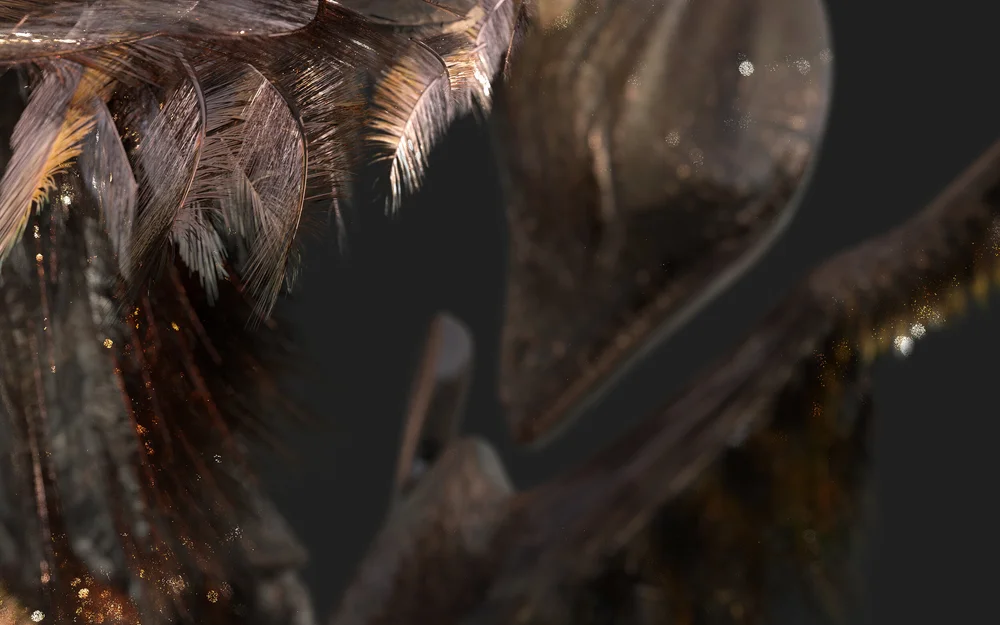 Portfolio - Robert Schaffer