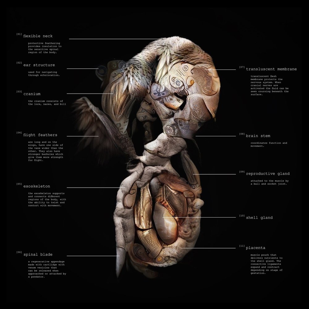 Portfolio - Robert Schaffer